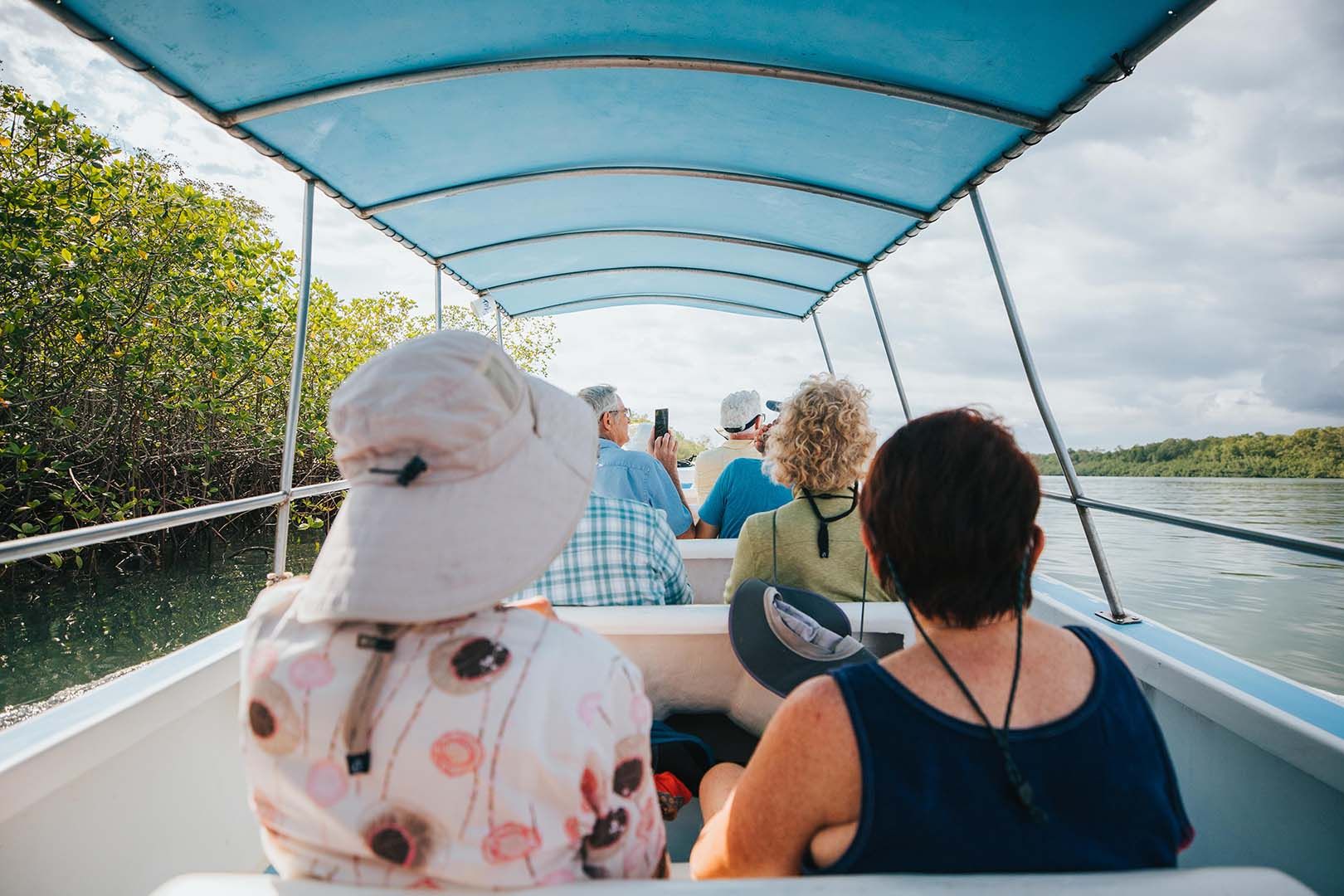 Damas Mangrove Boat Tour / Nighttime Boat Tour - Iguana Tours - Total ...
