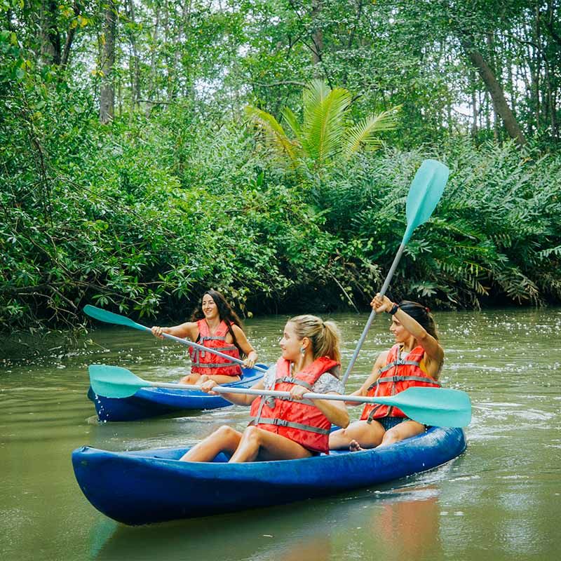 Mangrove Kayak Trip / Night Tour - Iguana Tours - Total Adventure ...
